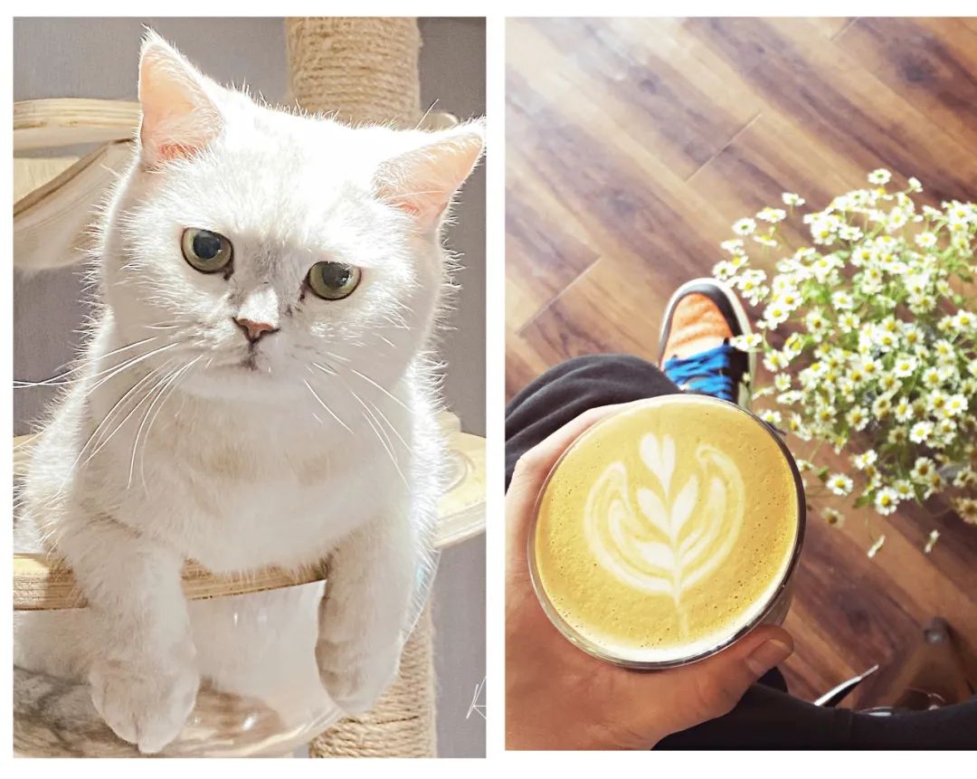 海珠主打冰滴咖啡的咖啡馆有哪些？TAKE EASY CAFE 咖啡如何？ 中国咖啡网